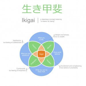 Have you ever practiced Ikigai during your studies?
