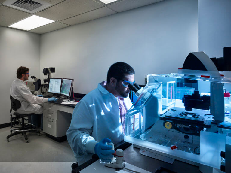 Biomedical Engineering: Making a difference in lives