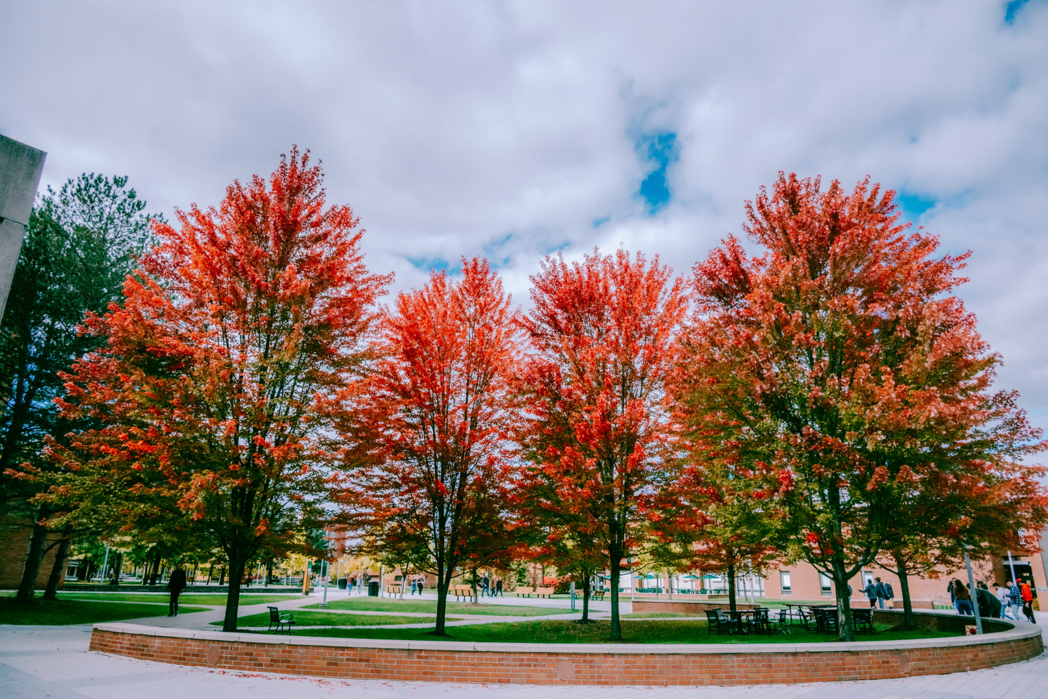 Binghamton University: Excel in academia and beyond with a PhD in ...