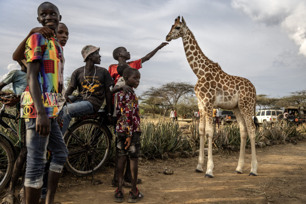 10 wildlife conservation degrees to save the planet