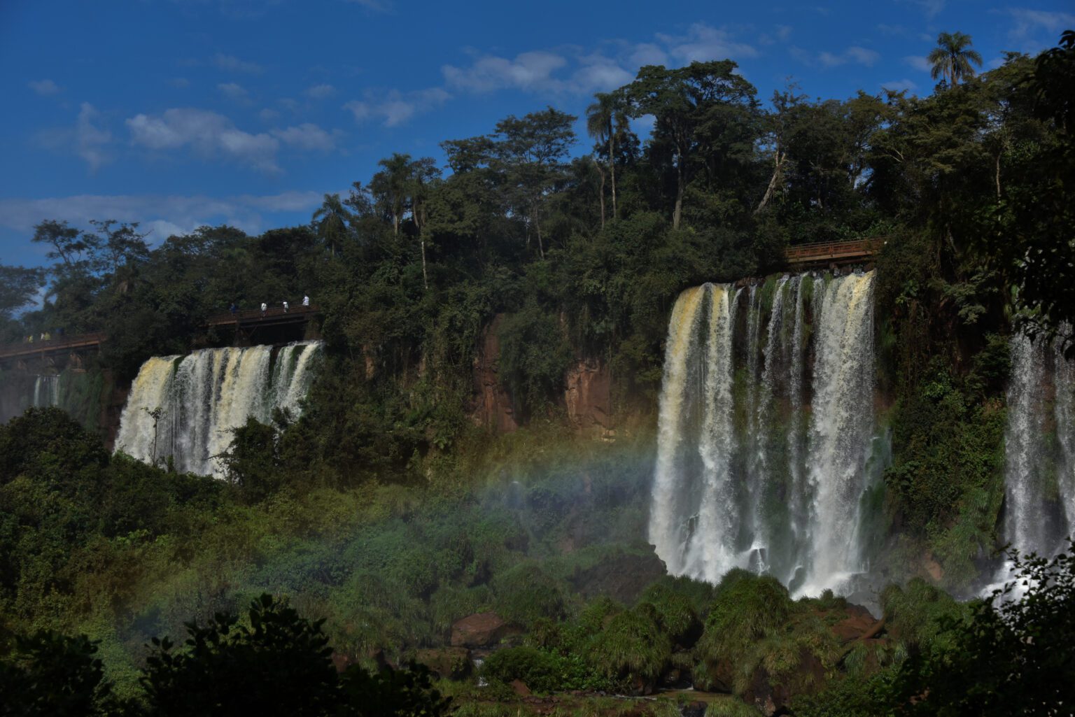 11 most endangered languages in the world