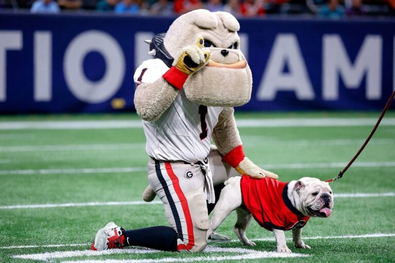 The most iconic university mascots today