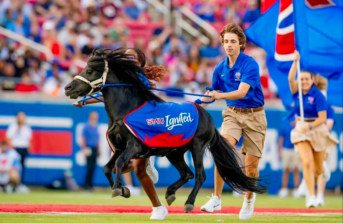 What university to study in based on your Chinese zodiac